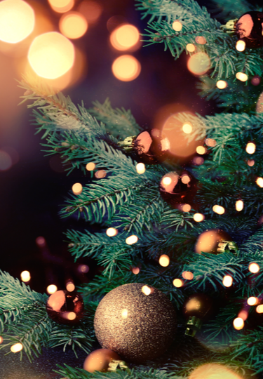 Optima asset management