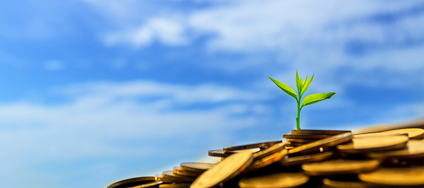 Optima asset management