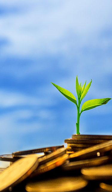 Optima asset management